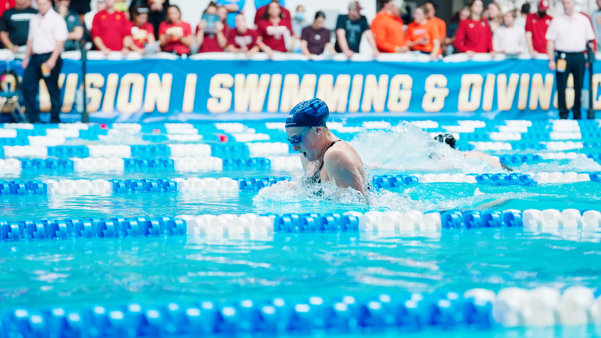 2024-25 Women's Swim and Dive Season Review - BYU Athletics - Official ...
