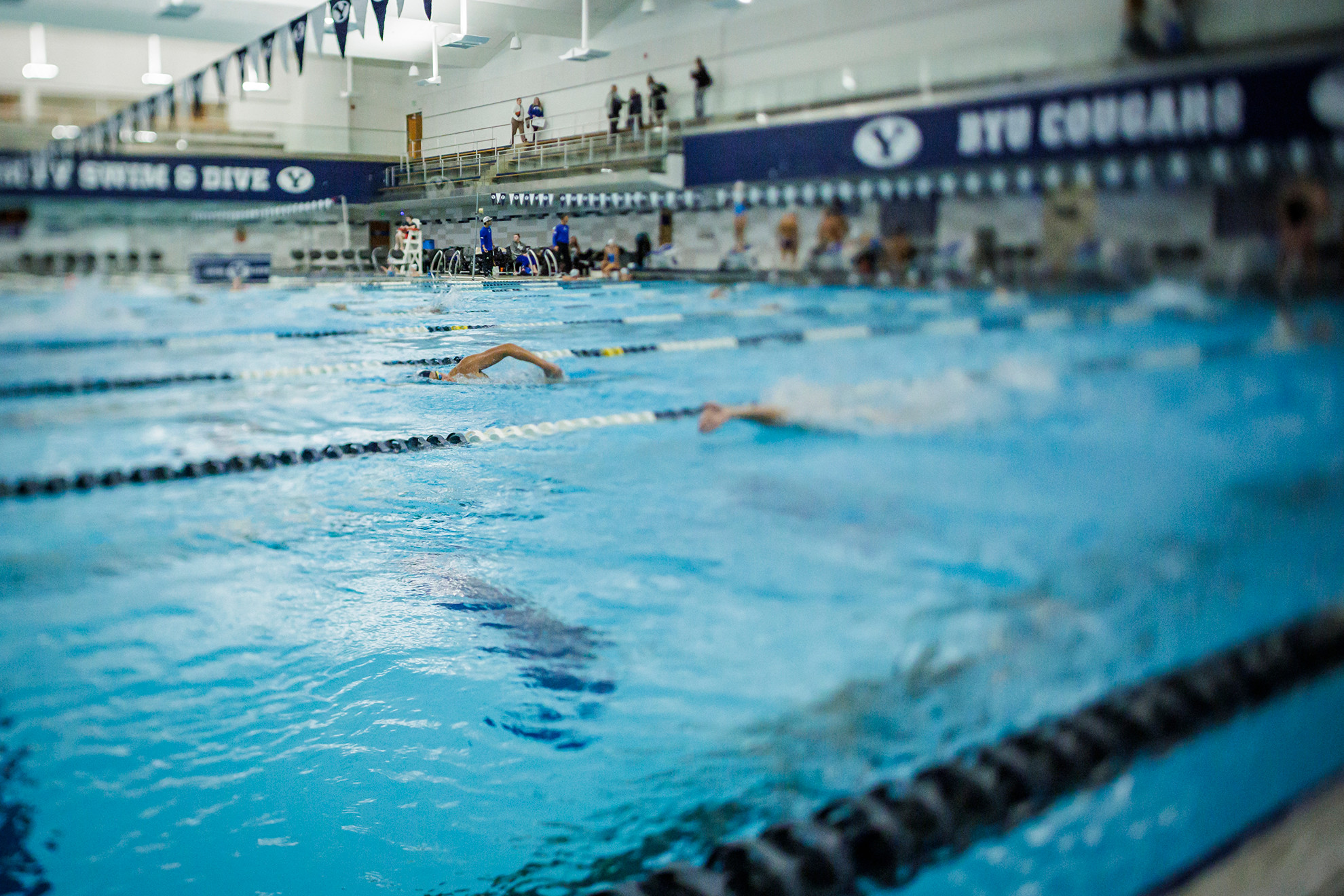 Collegeswimming Swim & Dive Welcomes 18 New Members Florida Atlantic